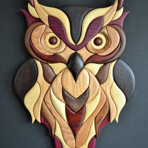 Owl Intarsia Pattern - PDF Digital Version Only - Etsy