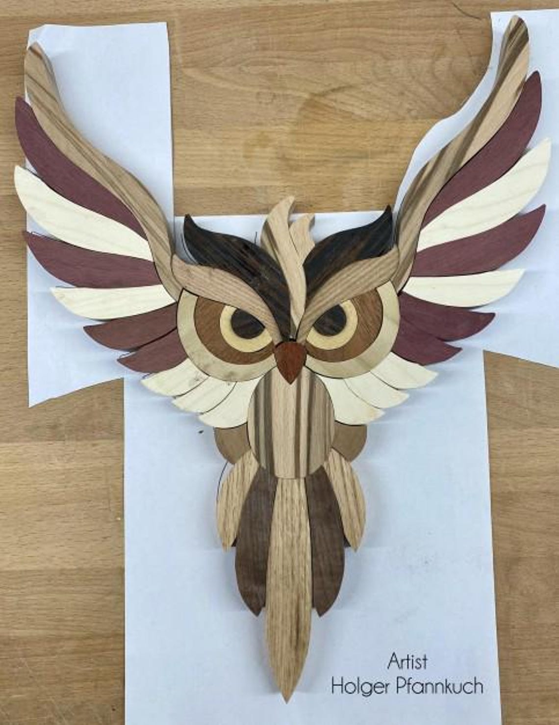 Funky Owl in Flight Intarsia Pattern - PDF Digital Version Only - Etsy