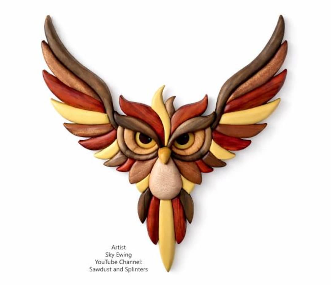 Funky Owl in Flight Intarsia Pattern - PDF Digital Version Only - Etsy