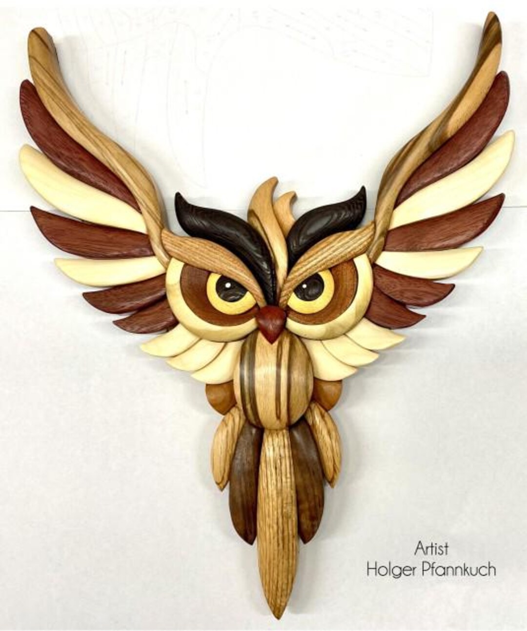 Funky Owl in Flight Intarsia Pattern - PDF Digital Version Only - Etsy