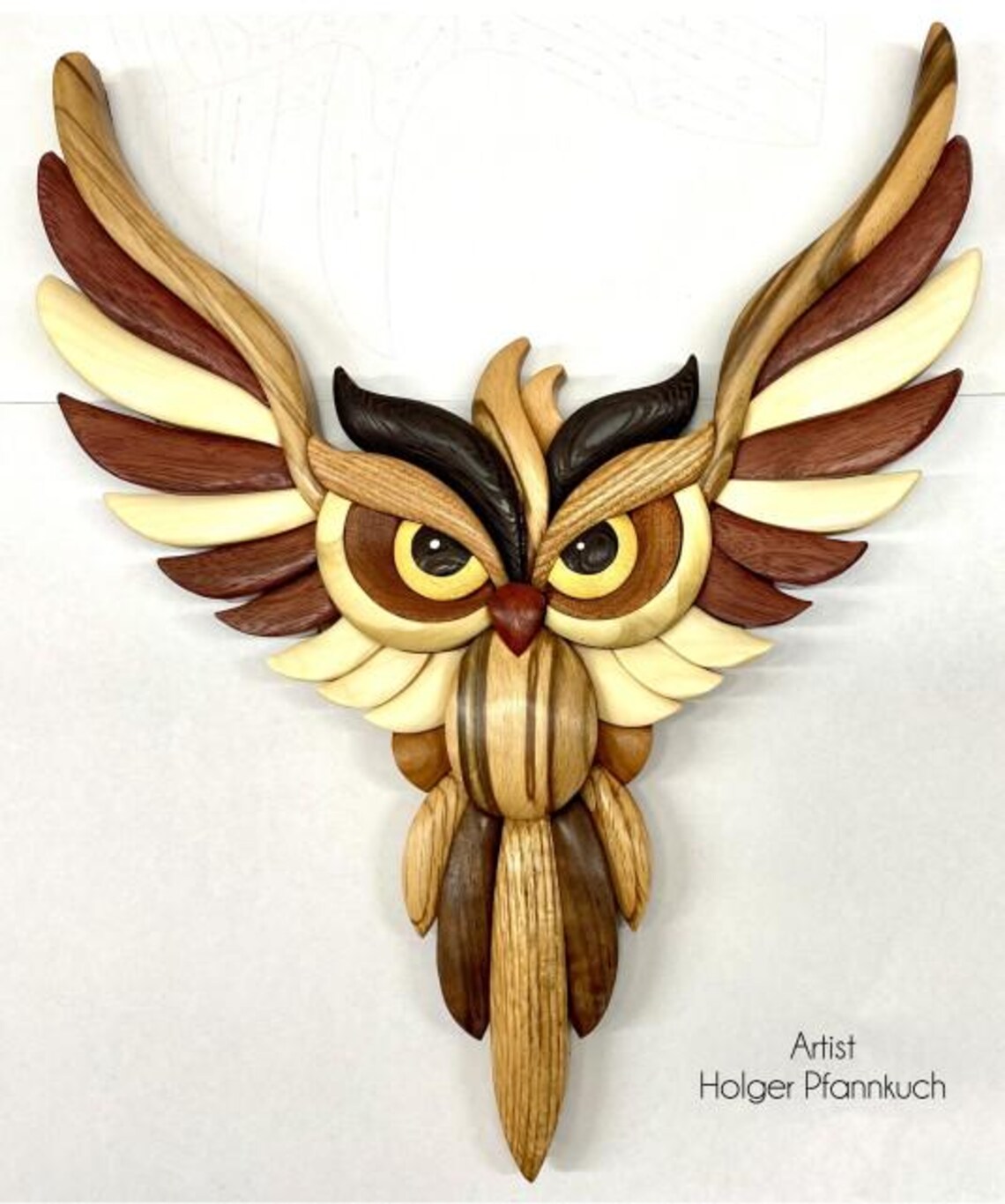 Funky Owl in Flight Intarsia Pattern - PDF Digital Version Only - Etsy