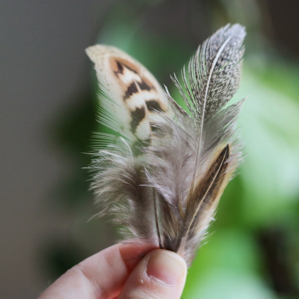 Fly Fishing Art - Etsy Canada