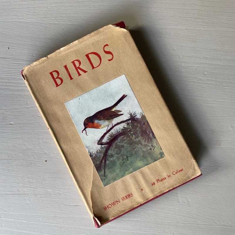 Book on Birds 1970 - Etsy UK