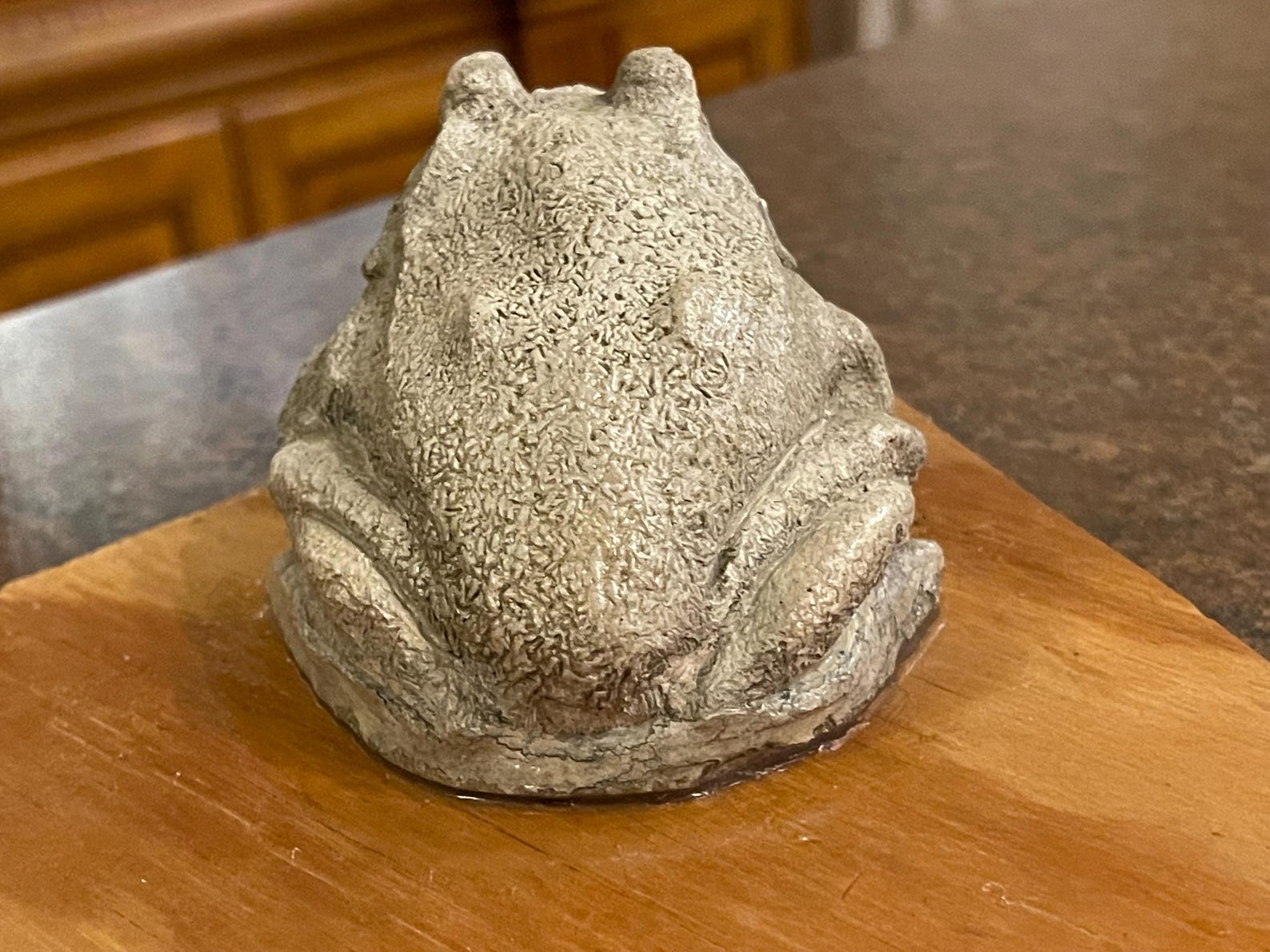 Frog Latex and Fiberglass Mold for Casting Concrete or Plaster of Paris ...
