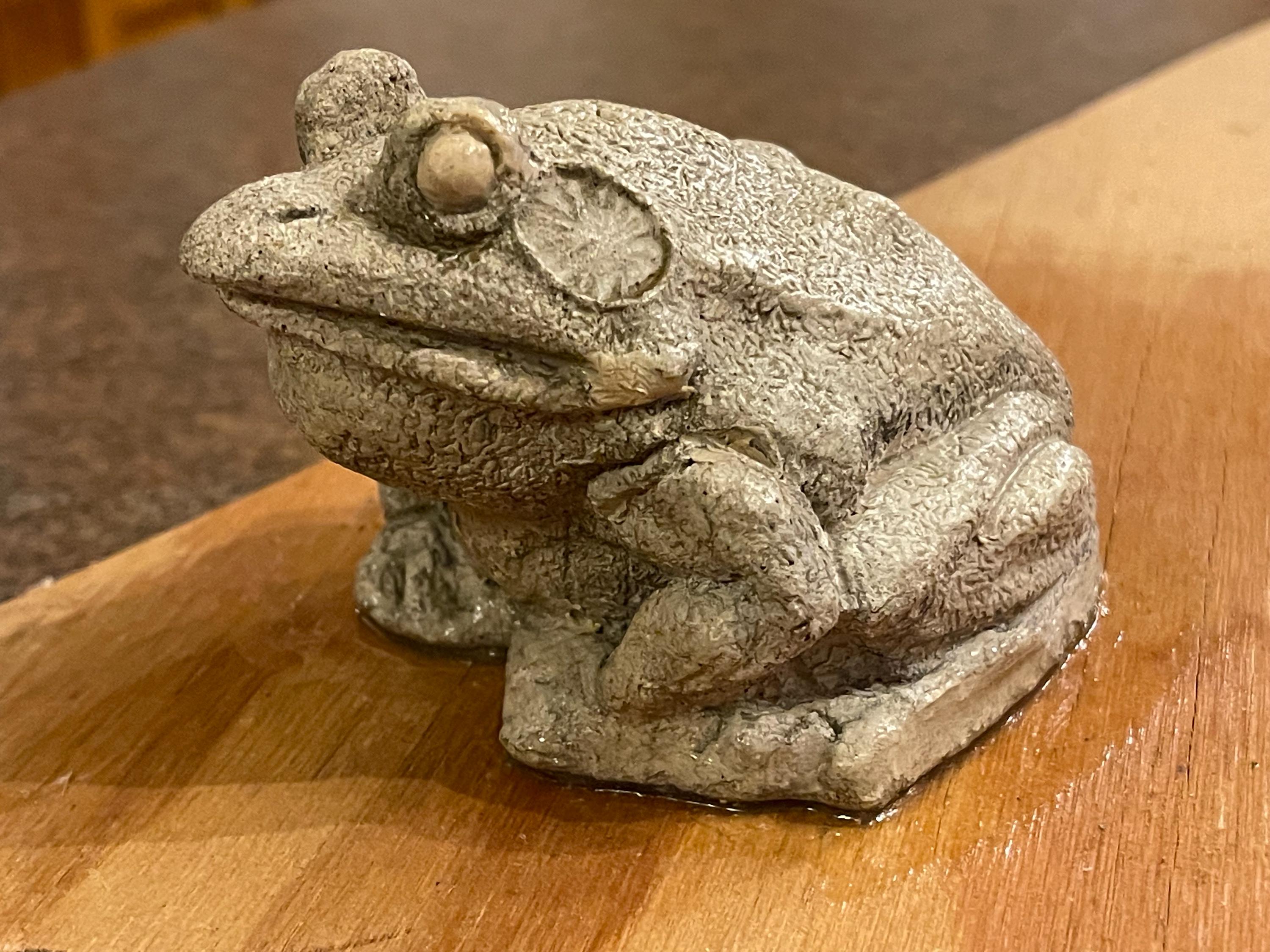 Frog Latex and Fiberglass Mold for Casting Concrete or Plaster of Paris ...