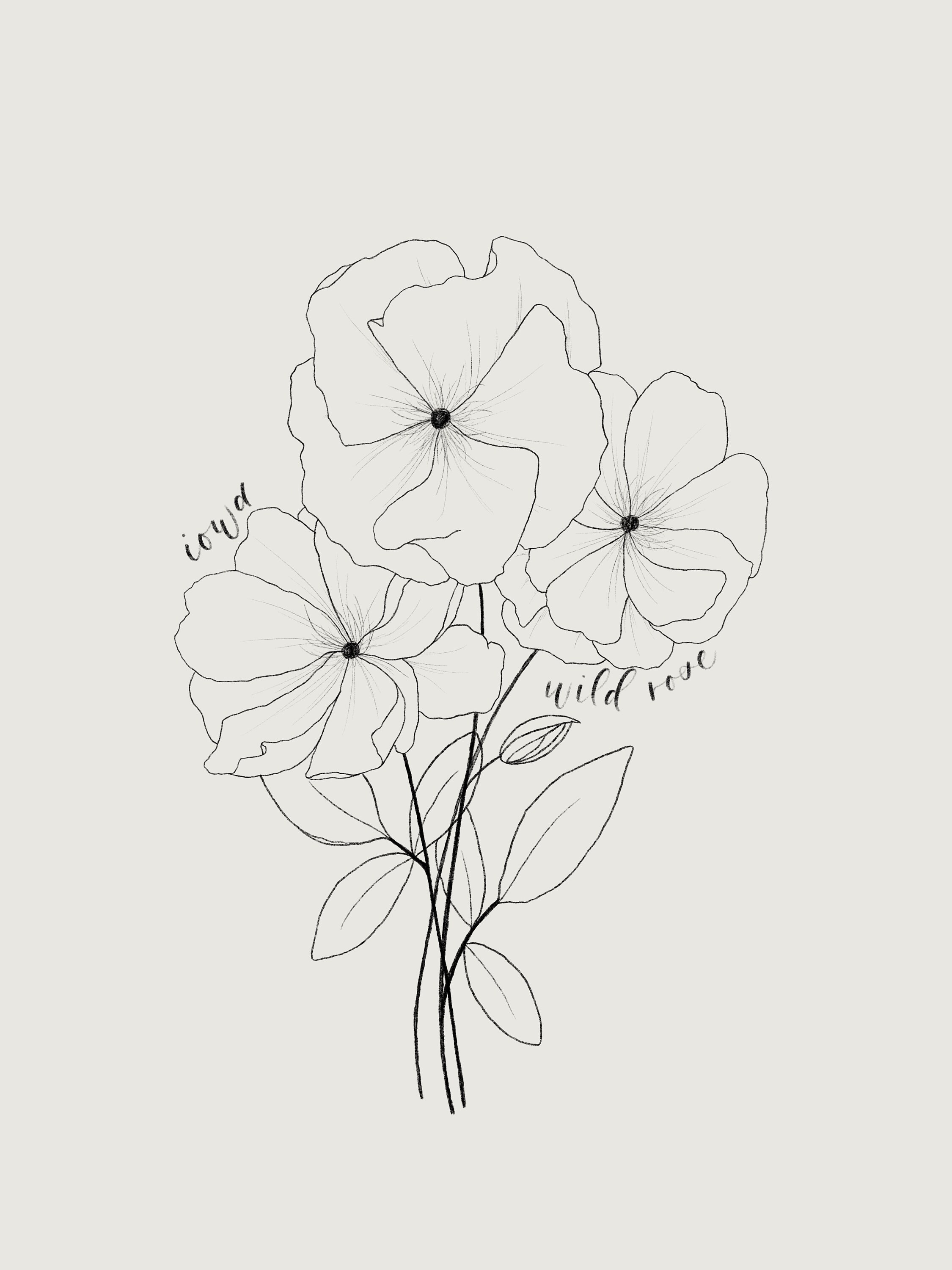 IOWA WILD ROSE Print Iowa State Flower Art Print Wild Rose | Etsy