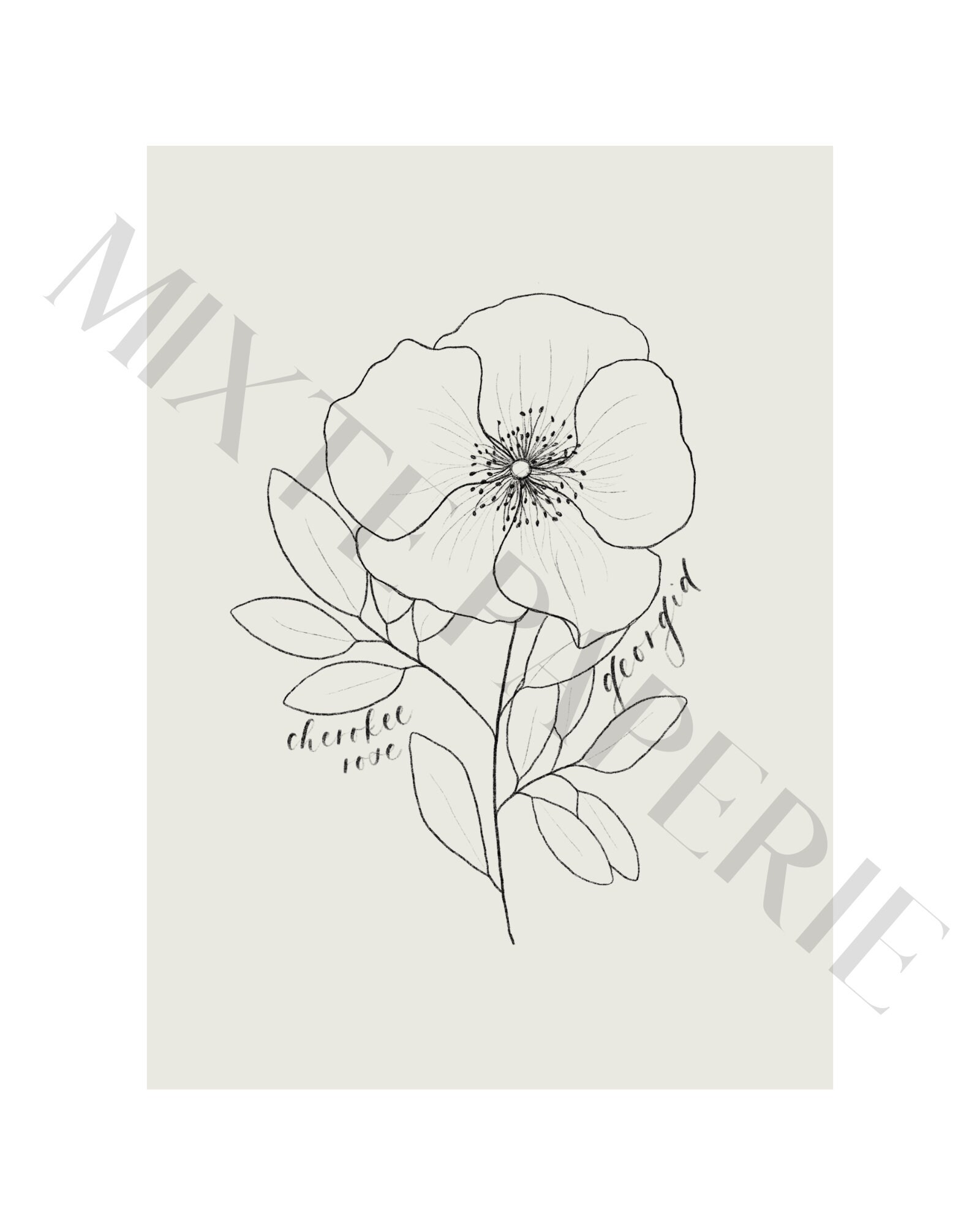 Georgia State Flower Digital Art Print Hand Drawn State Flower Print ...