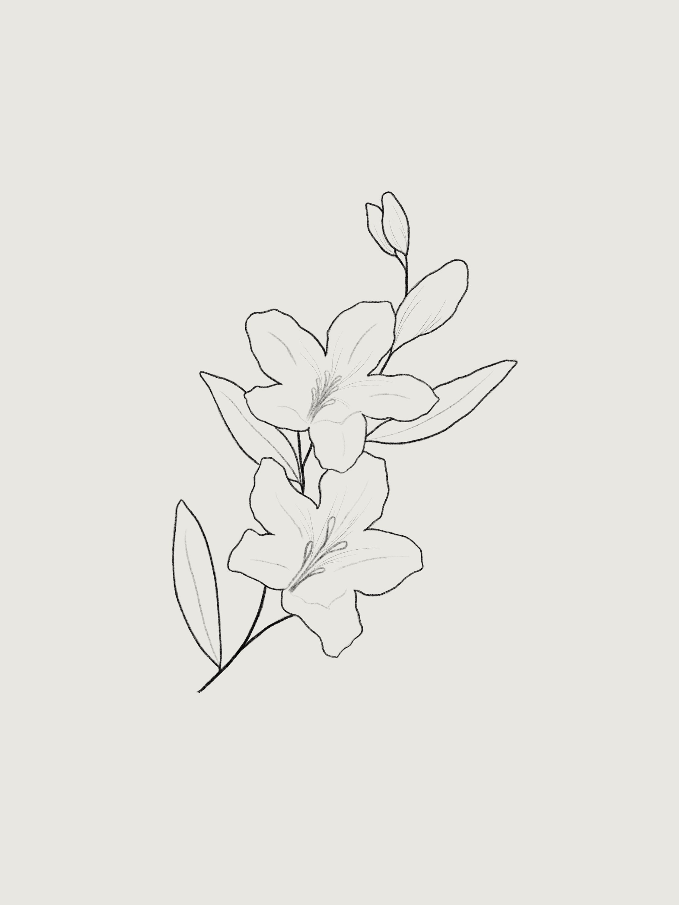 Yellow Jessamine Sheet Coloring Pages