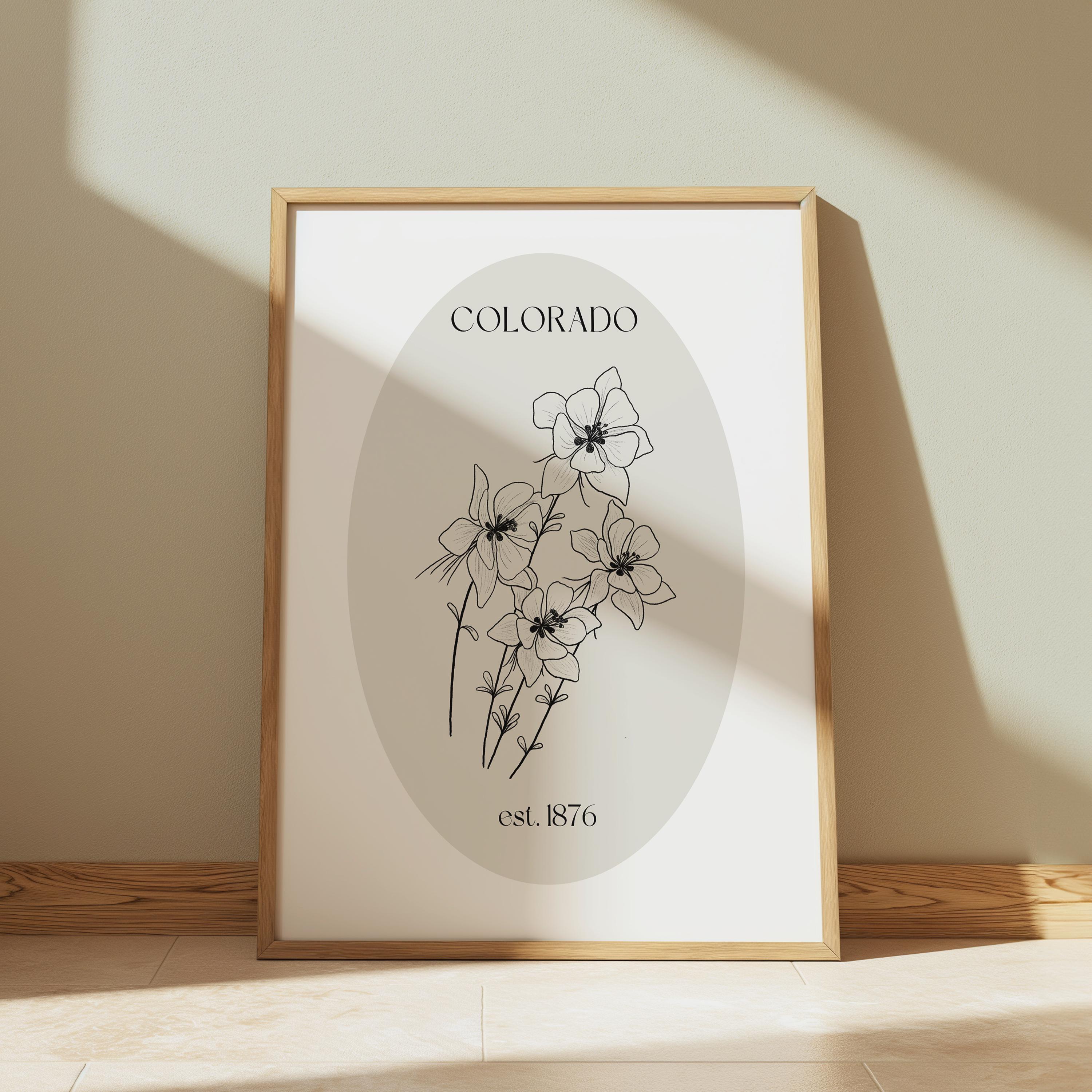 Colorado State Flower Digital Art Print Hand Drawn State Flower Print ...