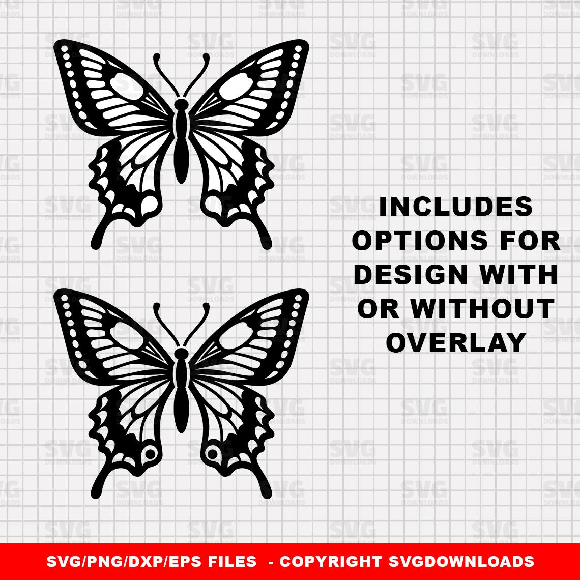 Butterfly SVG, Butterfly PNG, Butterfly Cut Files for Silhouette and ...