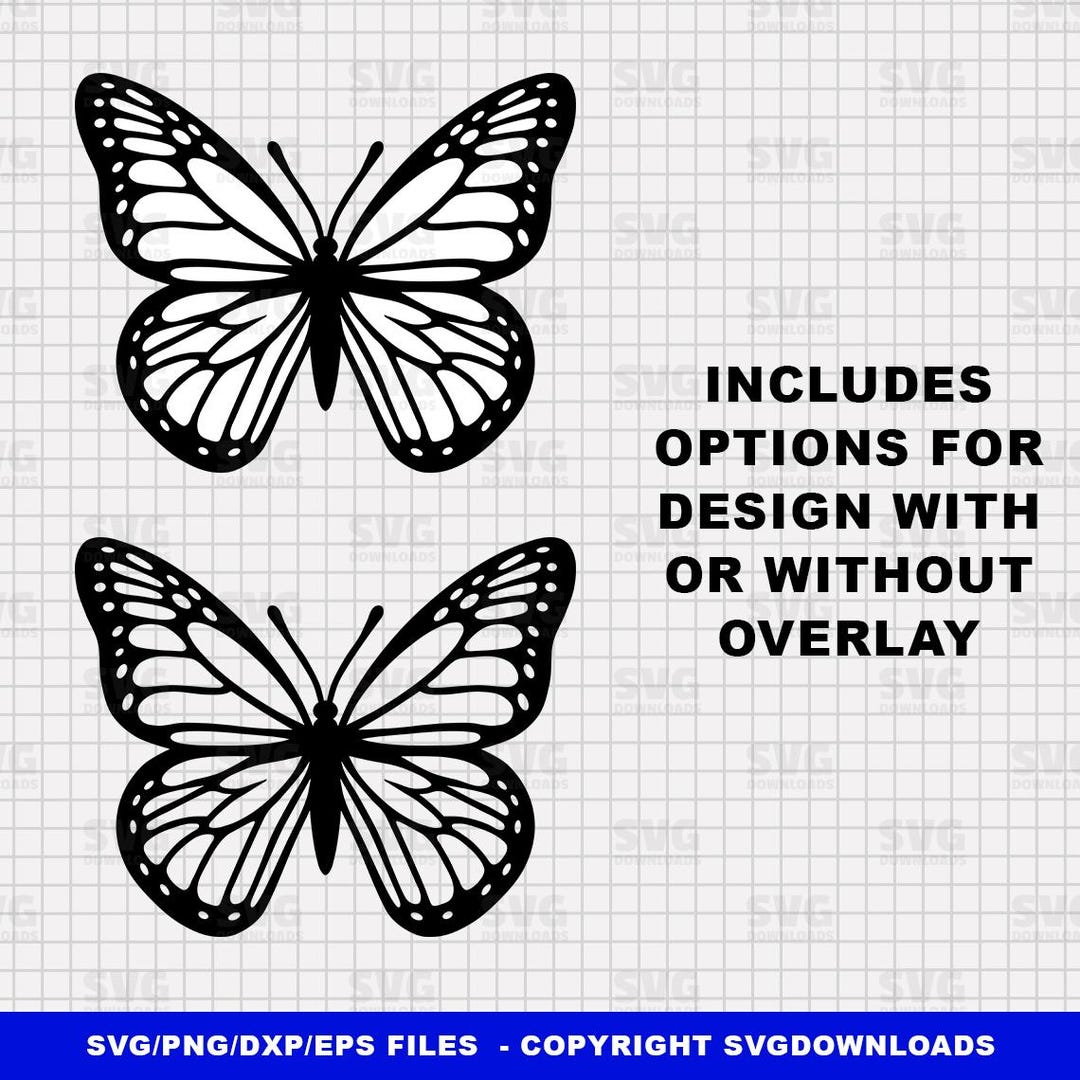 Butterfly SVG, Butterfly PNG, Butterfly Cut Files for Silhouette and ...