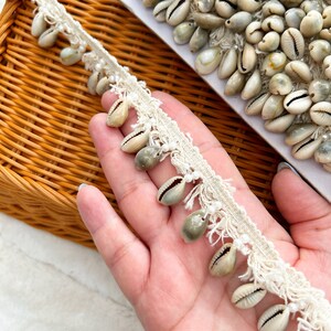 1 Yards Cotton Crochet Cowrie Shell Pearl Embellished Lace Trim DIY ...
