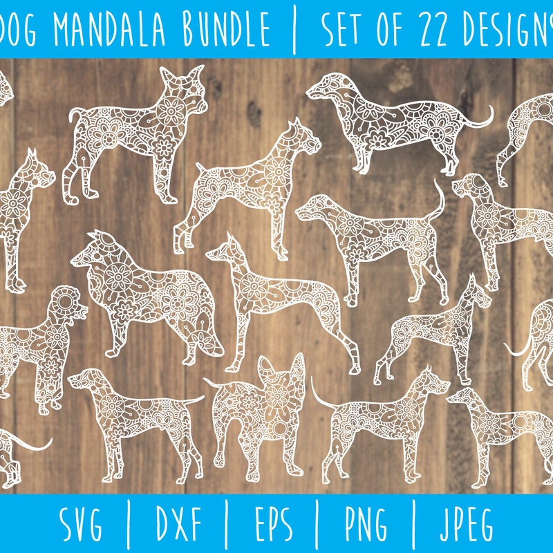 Animal Mandala Svg - Etsy