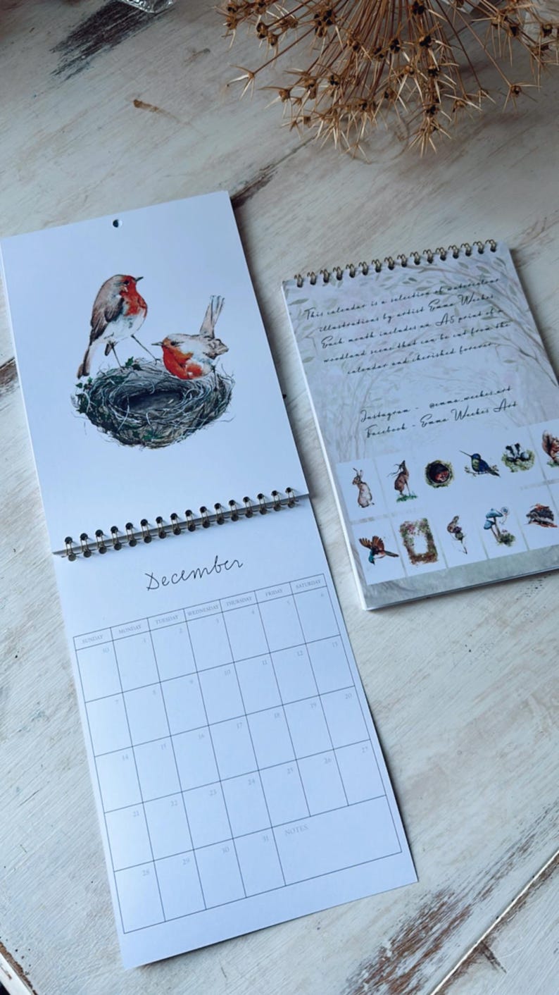 Woodland 2025 Calendar Watercolour Illustrated Original Illustrations ...
