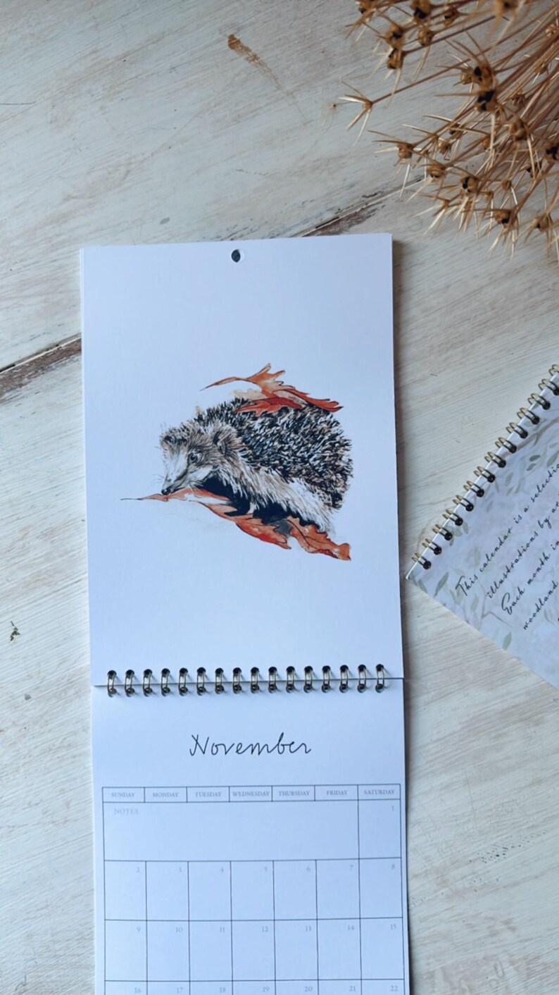 Woodland 2025 Calendar Watercolour Illustrated Original Illustrations ...