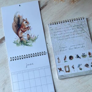 Woodland 2025 Calendar Watercolour Illustrated Original Illustrations ...