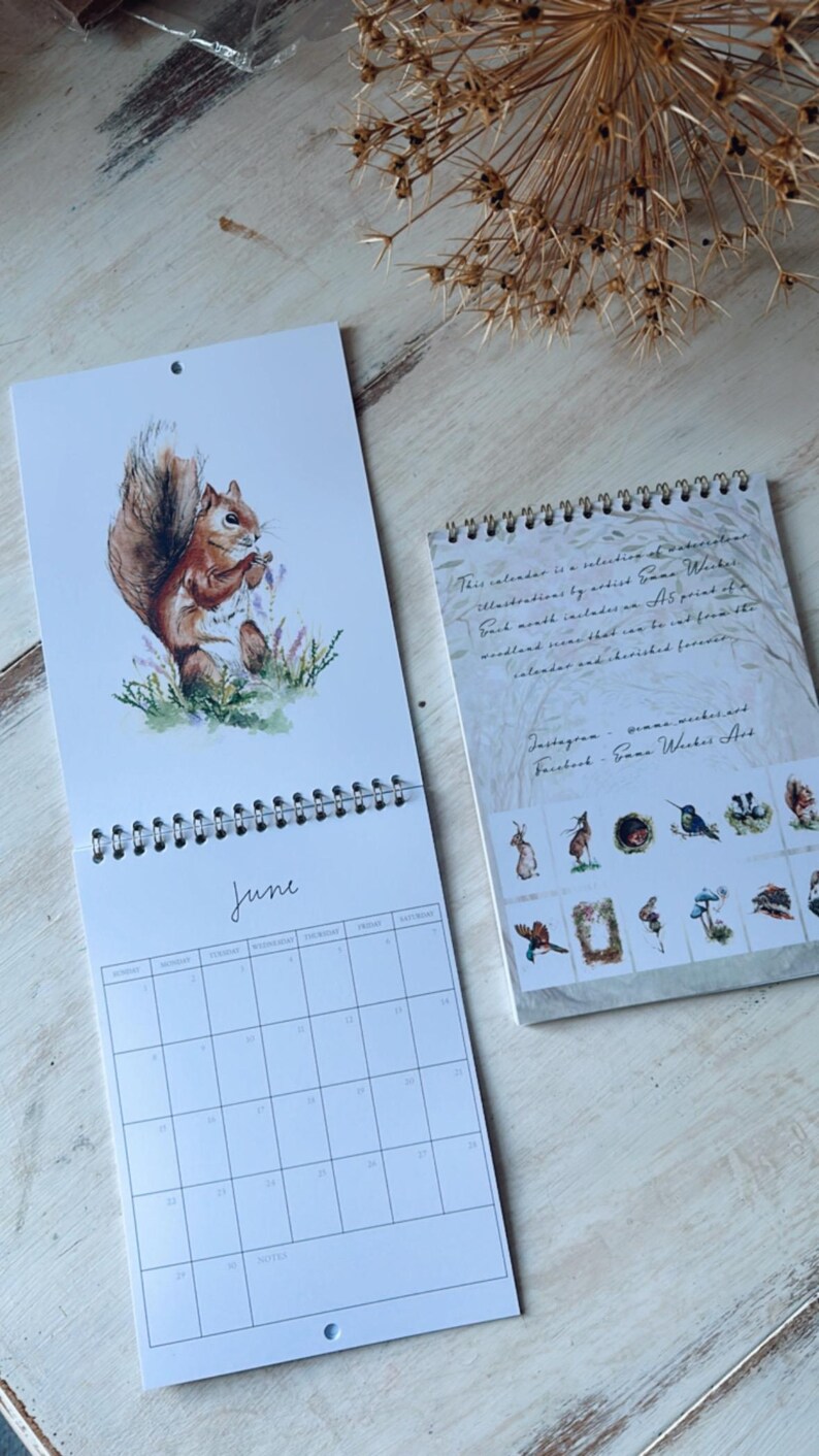 Woodland 2025 Calendar Watercolour Illustrated Original Illustrations ...