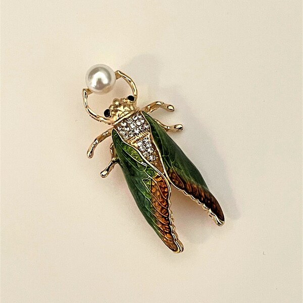 Cicada Brooch - Etsy
