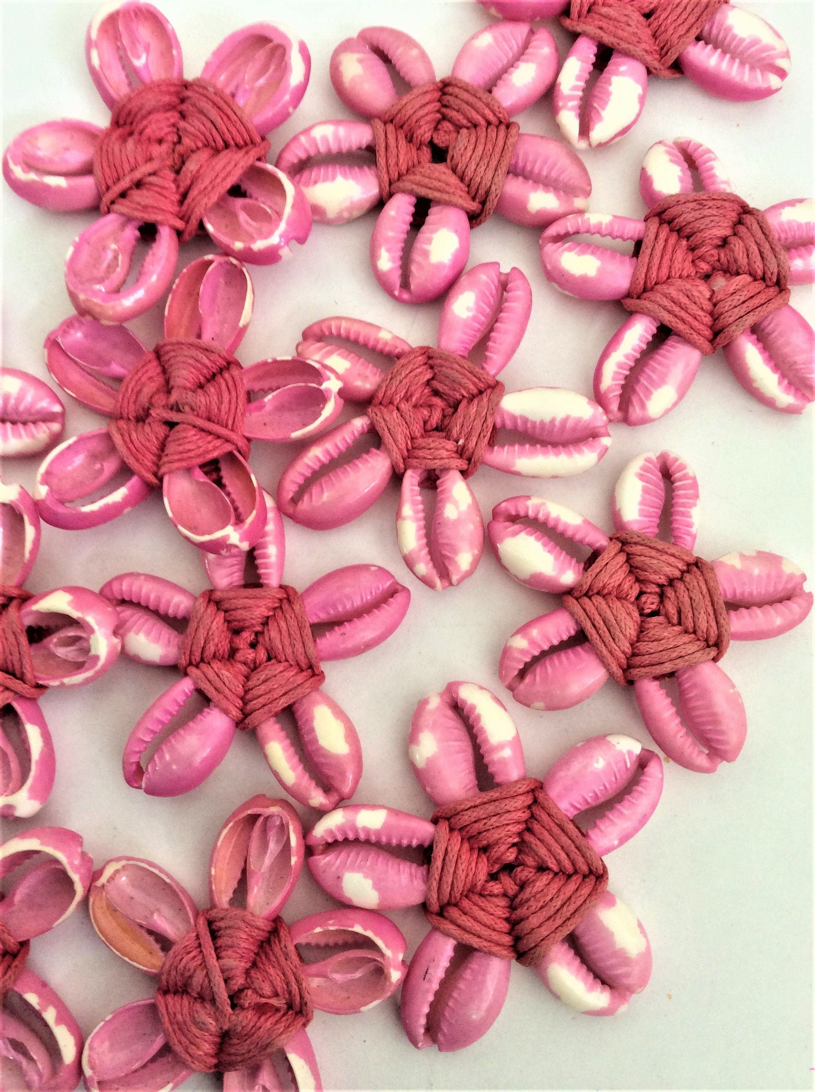 40mm to 50mm Sigay cowrie Shell in Distress Paint Pastel - Etsy