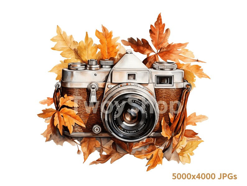 Watercolor Fall Camera Clipart, 10 High Quality PNG Files and Jpegs ...