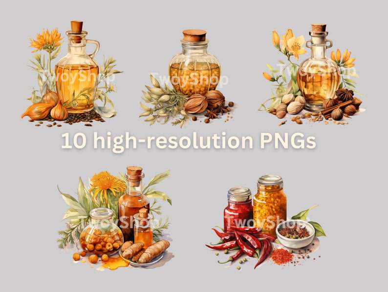 Watercolor Herb & Spice Clipart, Watercolor Culinary Bottles 10 High ...