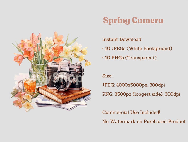 Watercolor Spring Camera Clipart, Hello Spring Floral Vintage Camera 10 ...