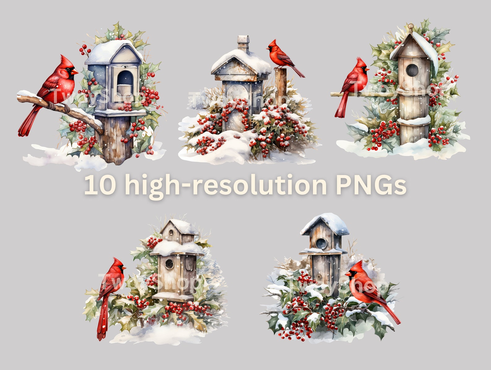 Watercolor Winter Red Cardinal Clipart, 10 High Quality Jpegs and Pngs ...