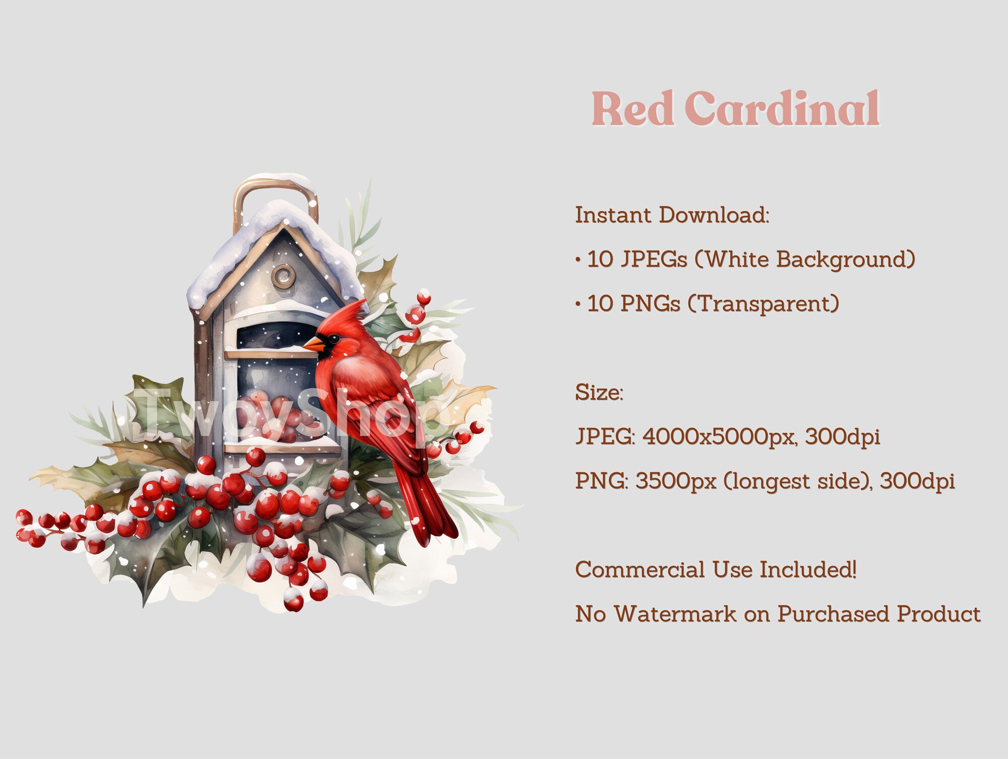Watercolor Winter Red Cardinal Clipart, Commercial Use (digital ...
