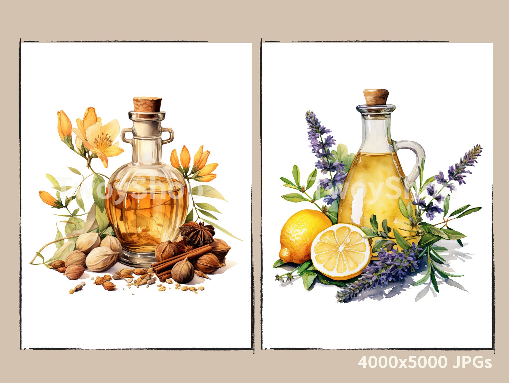 Watercolor Herb & Spice Clipart, Watercolor Culinary Bottles 10 High ...