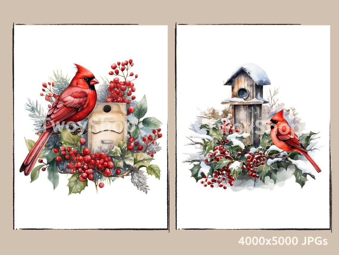 Watercolor Winter Red Cardinal Clipart, 10 High Quality Jpegs and Pngs ...