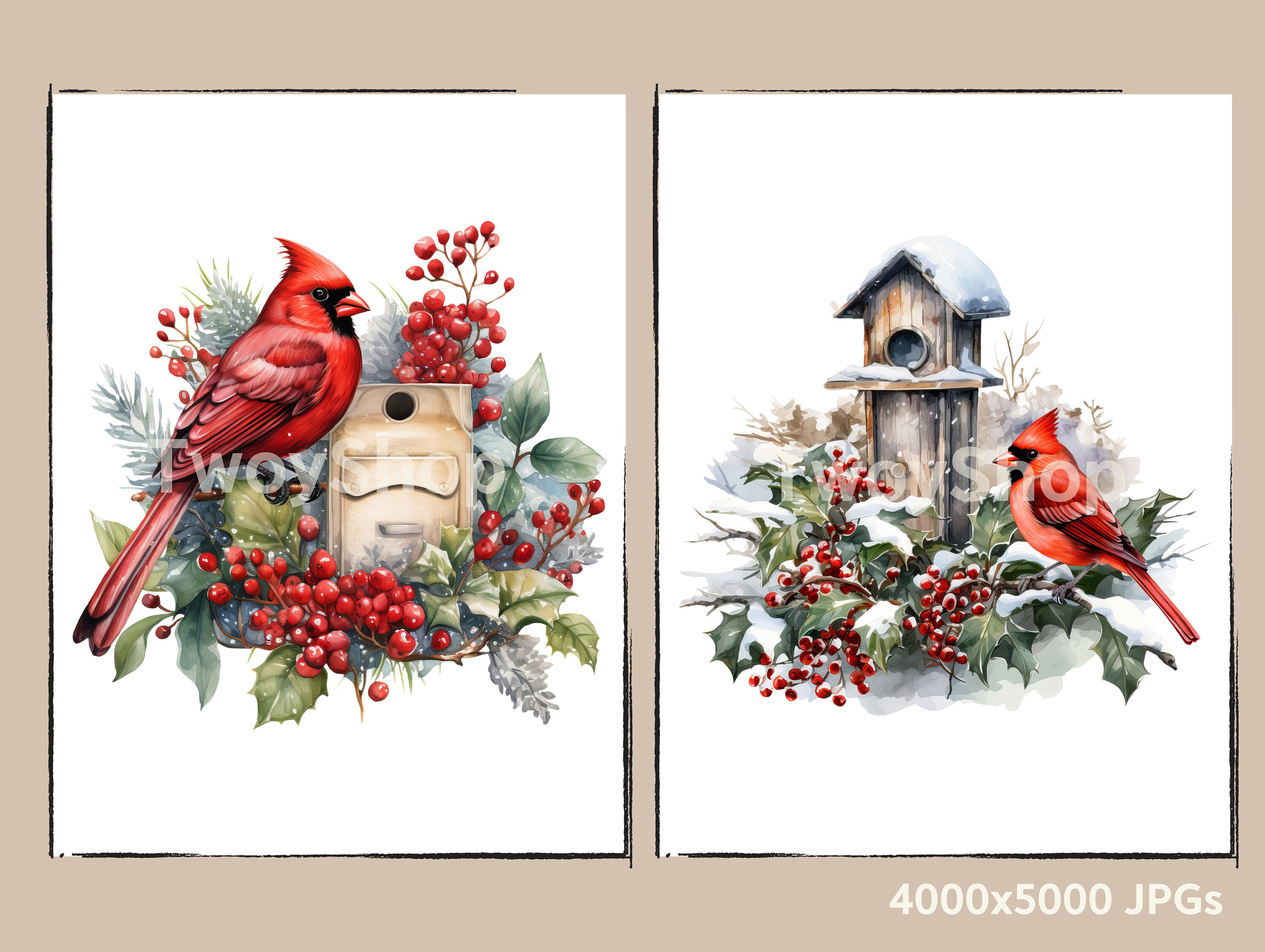 Watercolor Winter Red Cardinal Clipart, 10 High Quality Jpegs and Pngs ...