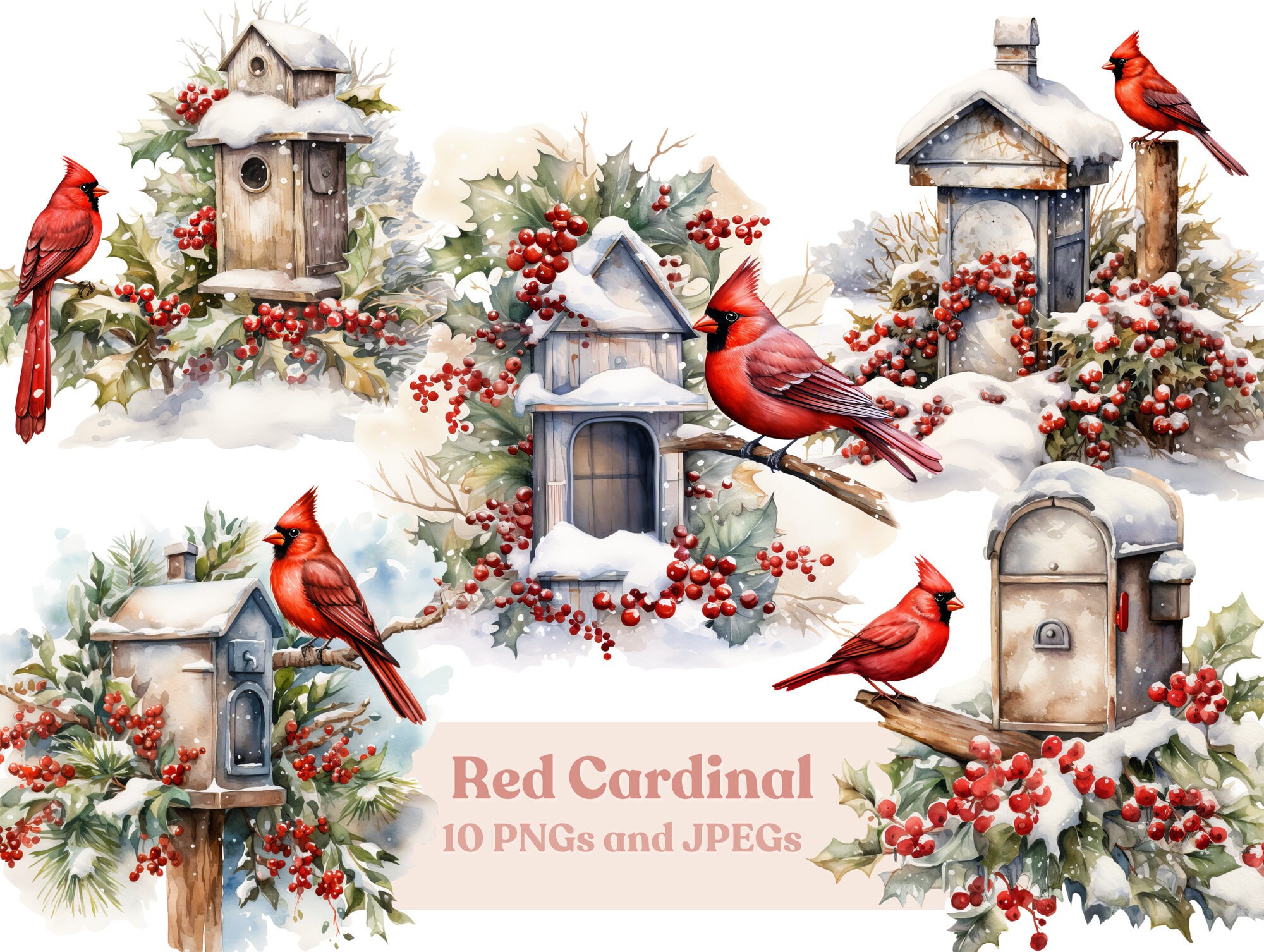 Watercolor Winter Red Cardinal Clipart, 10 High Quality Jpegs and Pngs ...