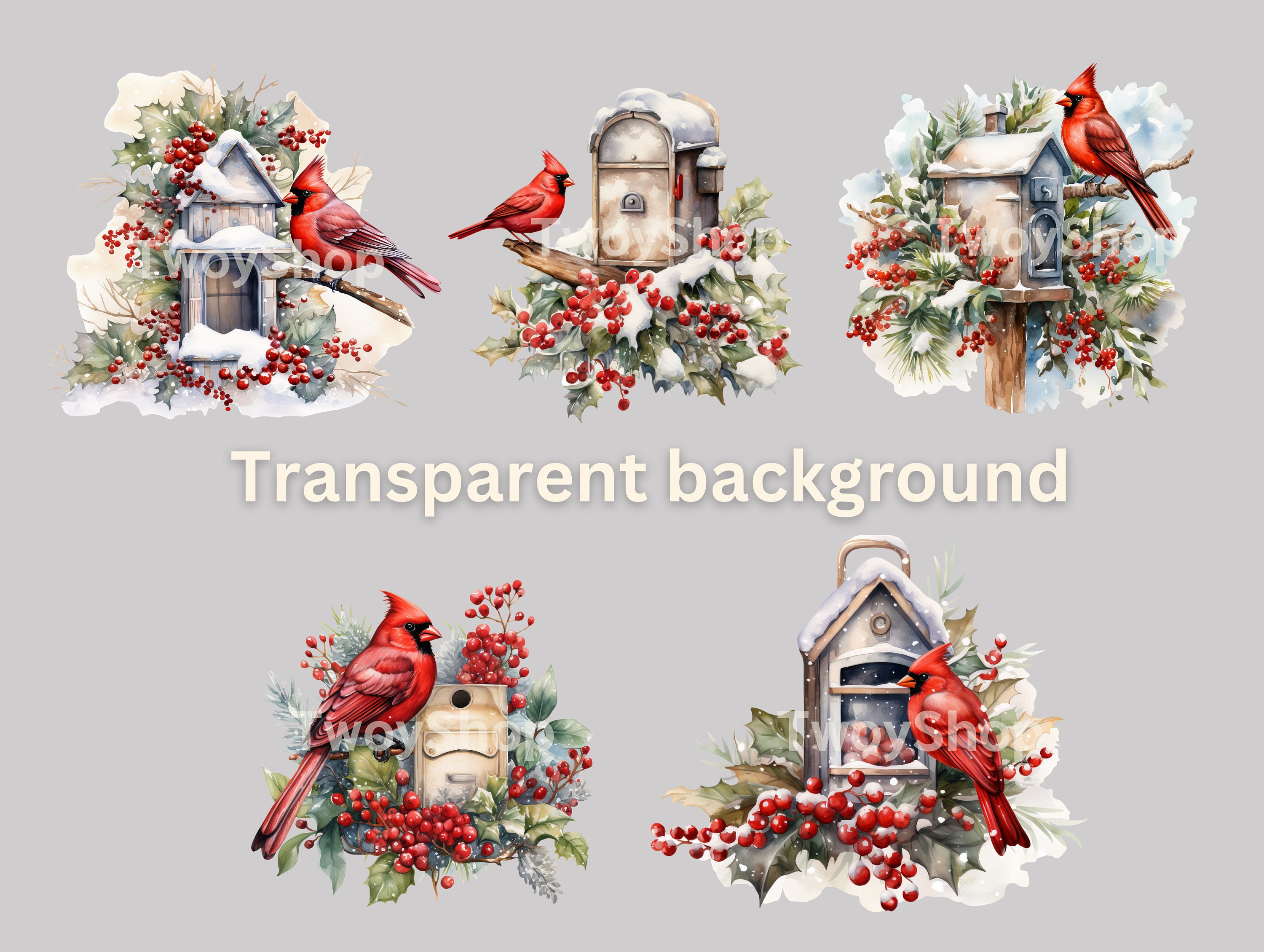 Watercolor Winter Red Cardinal Clipart, 10 High Quality Jpegs and Pngs ...