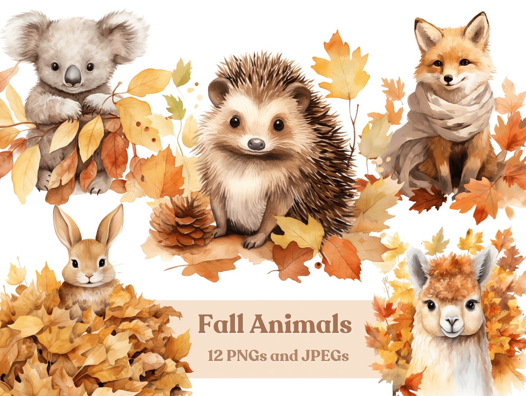 Watercolor Animals in Fall - Autumn Clipart 12 High Quality PNG Files ...