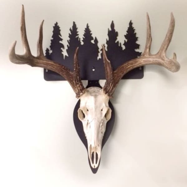 European Mount - Etsy