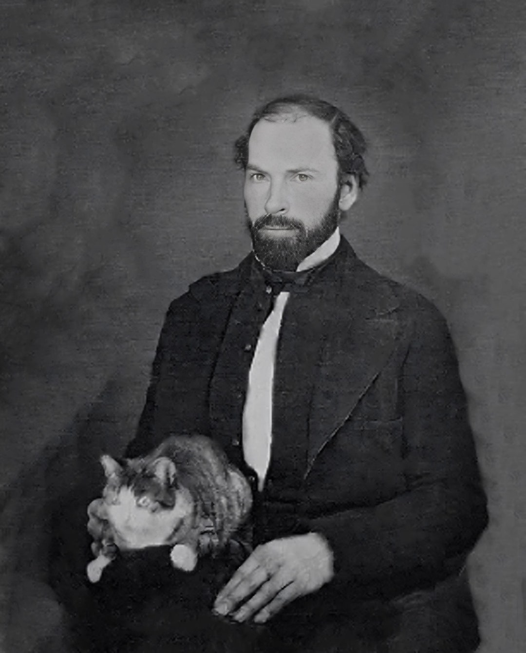 1860s Portrait of Man With Cat - Vintage Art Print, Historical Wall Art ...