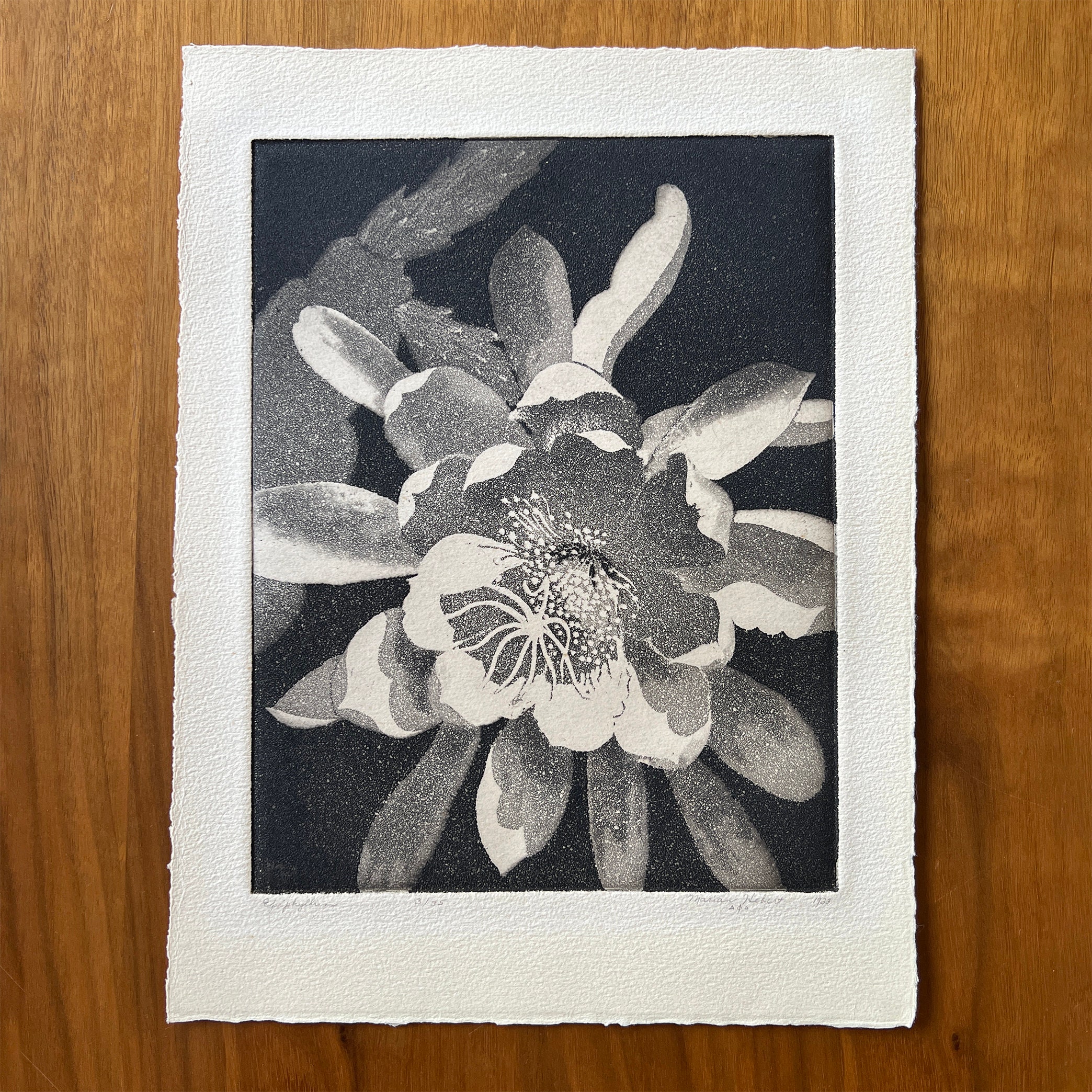 1933 Marian Hebert (1899 - 1960) Aquatint and Etching, “epiphyllum,” 3/ ...