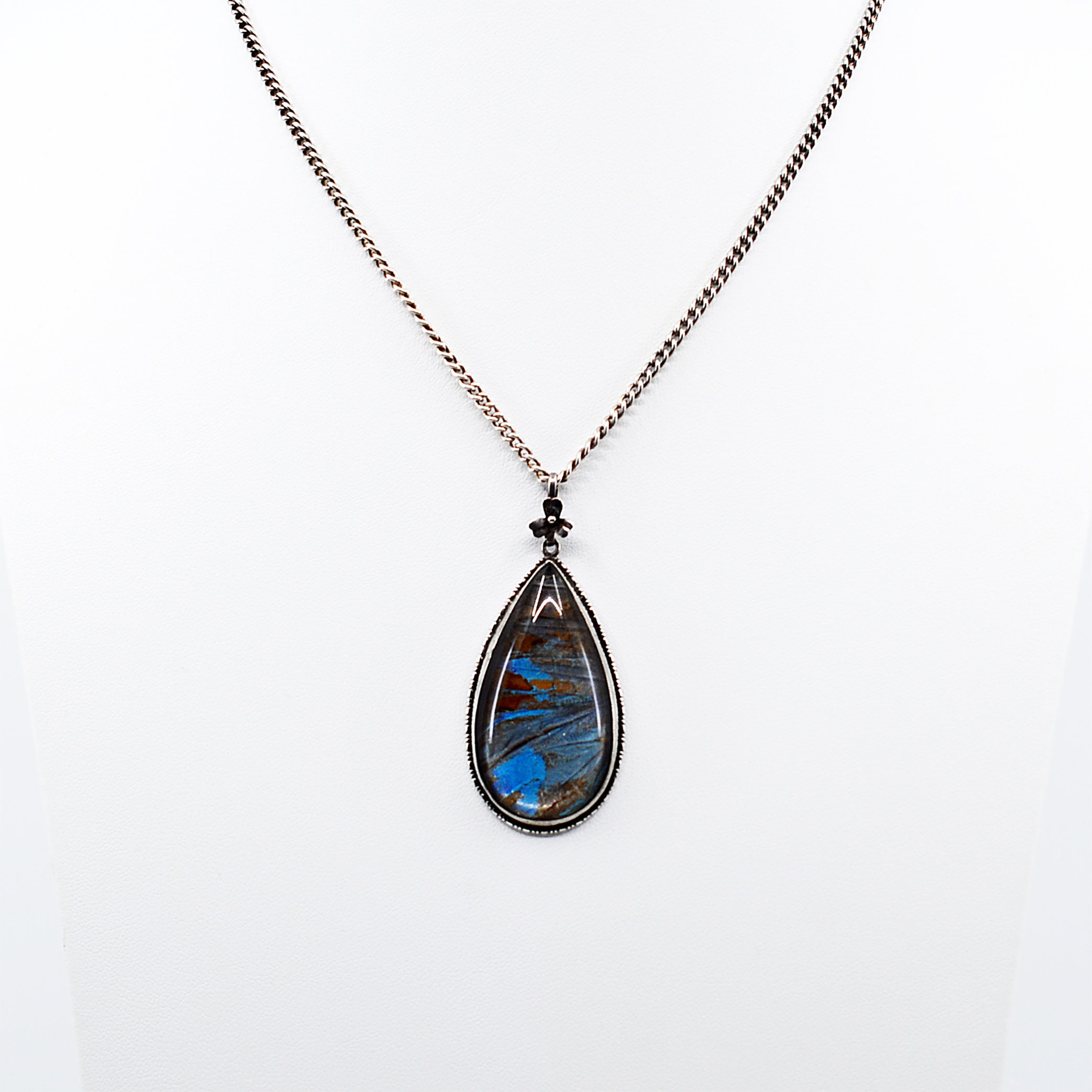 1920s English Sterling Thomas Mott Teardrop Morpho Butterfly Wing ...