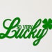 So Very Lucky Sign Metal Wall Decor Shamrock Lucky Word Art Metal Wall ...