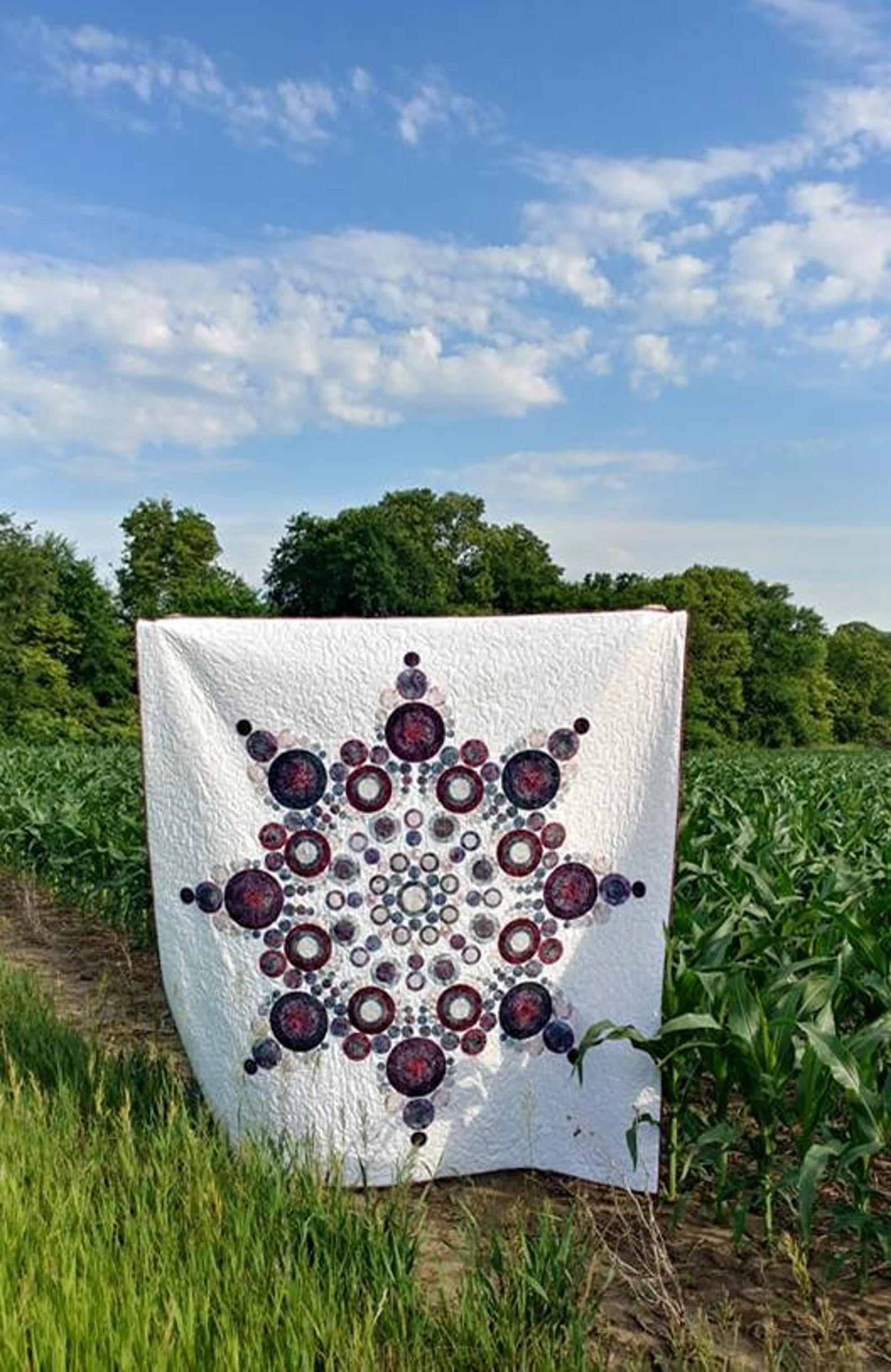 PDF Flurry Quilt Pattern Digital Download by Slice of Pi Quilts [winter ...