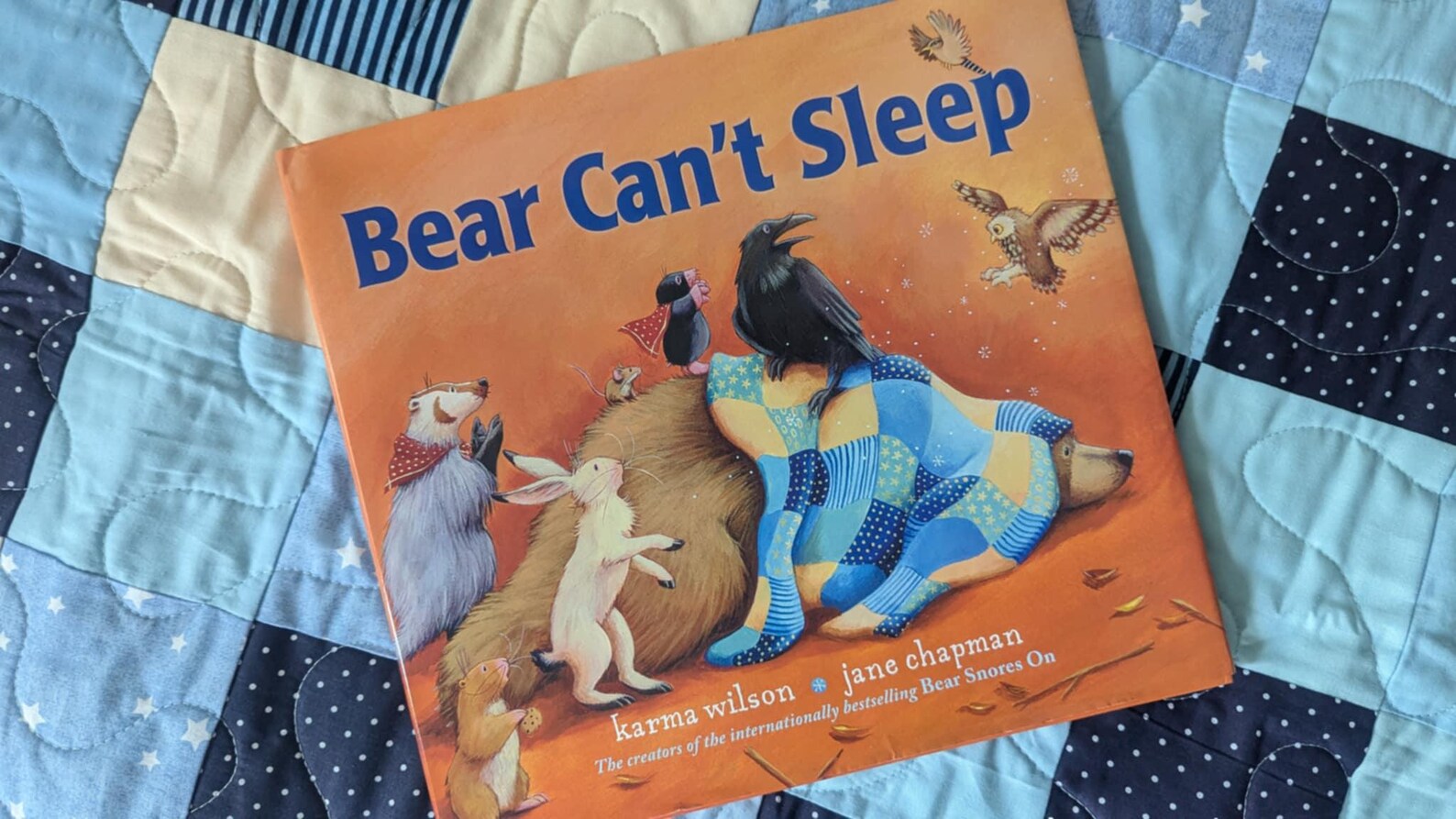 Bear Can't Sleep Quilt Kit [quilt Pattern in the Book Storybook Quilts ...