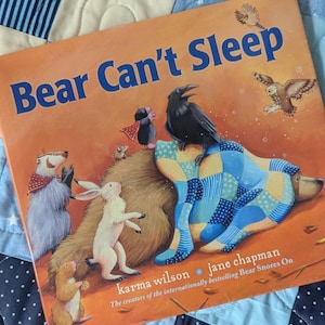 Bear Can't Sleep Quilt Kit [quilt Pattern in the Book Storybook Quilts ...