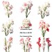 Stunning Seasonal Digital Backgrounds Bundle: Vibrant Spring Blossoms ...