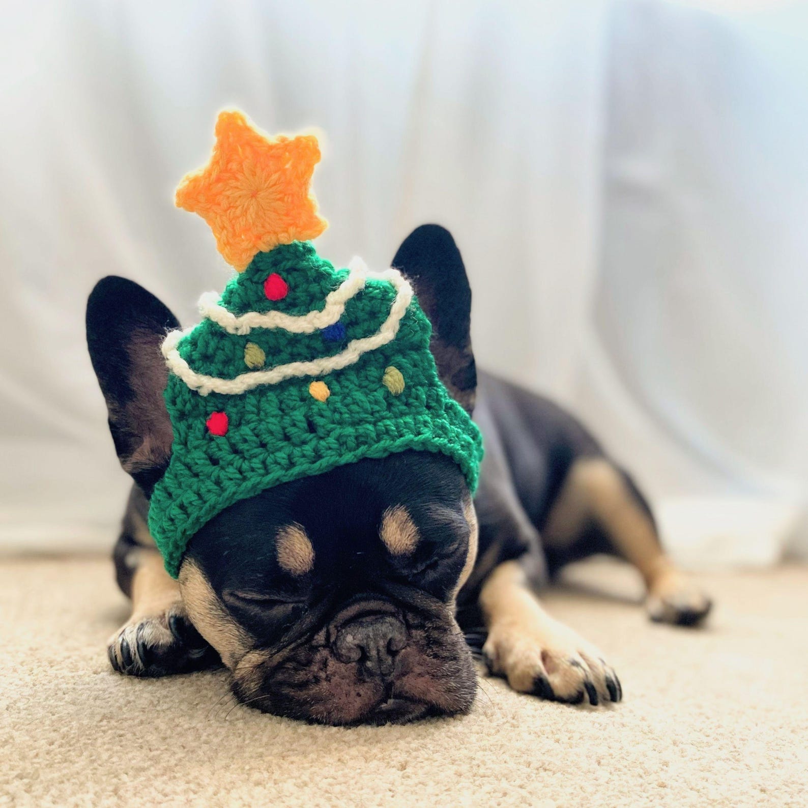Christmas Tree Dog Hat Crochet Pattern | DIY Xmas Costume | Festive Pet ...