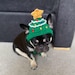 Christmas Tree Dog Hat Crochet Pattern | DIY Xmas Costume | Festive Pet ...