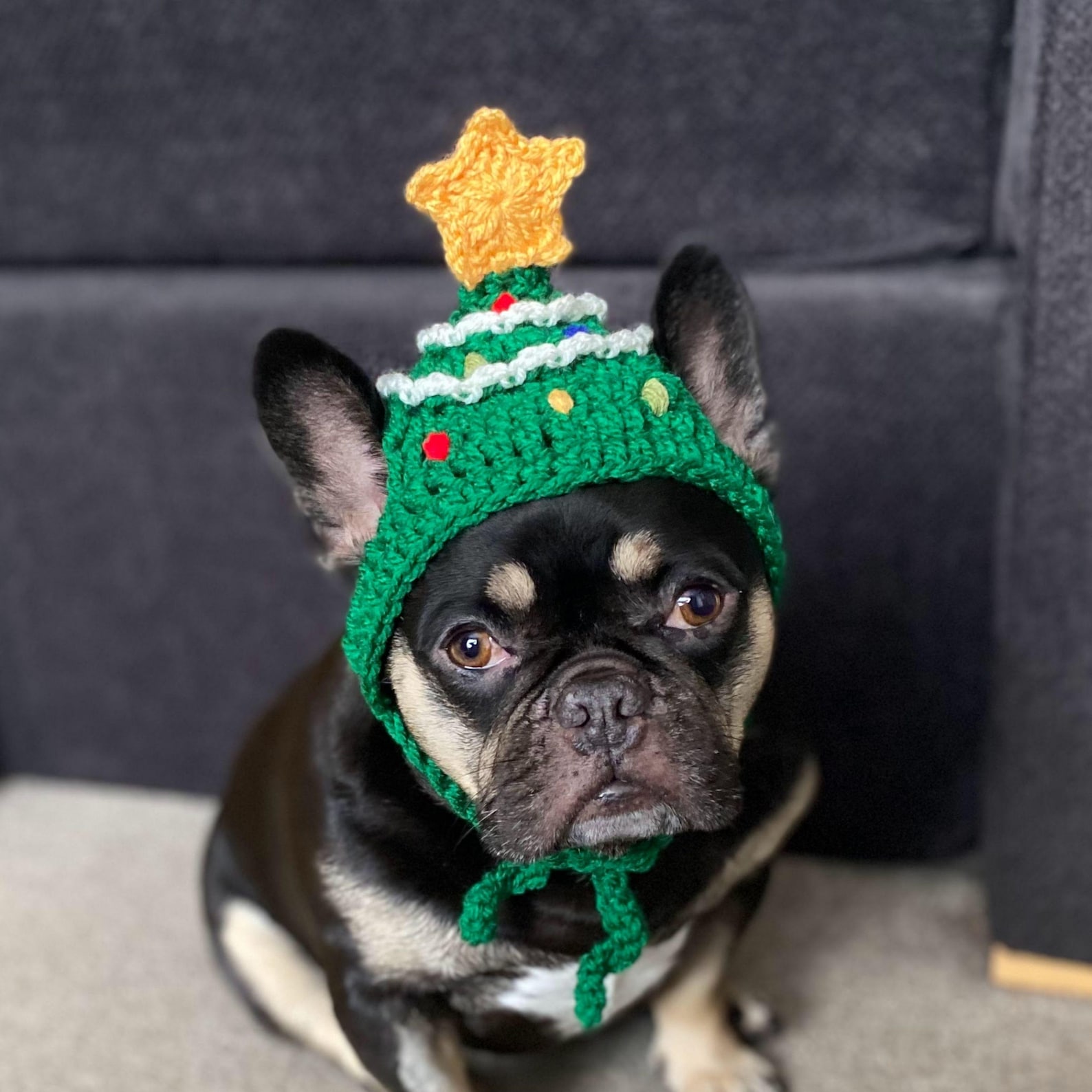 Christmas Tree Dog Hat Crochet Pattern | DIY Xmas Costume | Festive Pet ...
