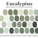Eucalyptus Green Color Palette for Procreate, Procreate Swatches ...