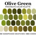 Olive Green Color Palette: 30 Nature Shades for Procreate (HEX Codes ...