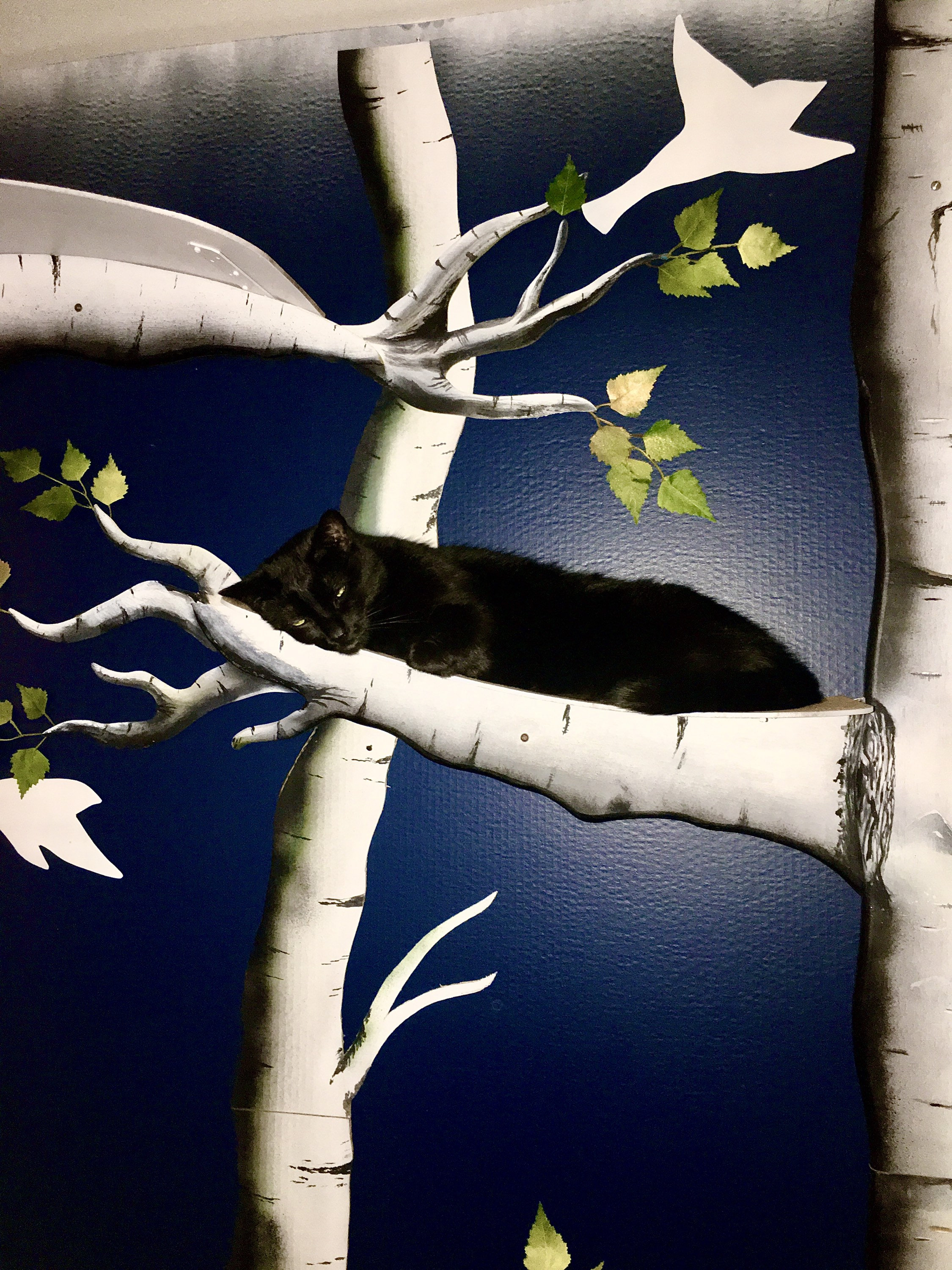 Birch Tree Forest 5 Tier Wall Perch - Etsy