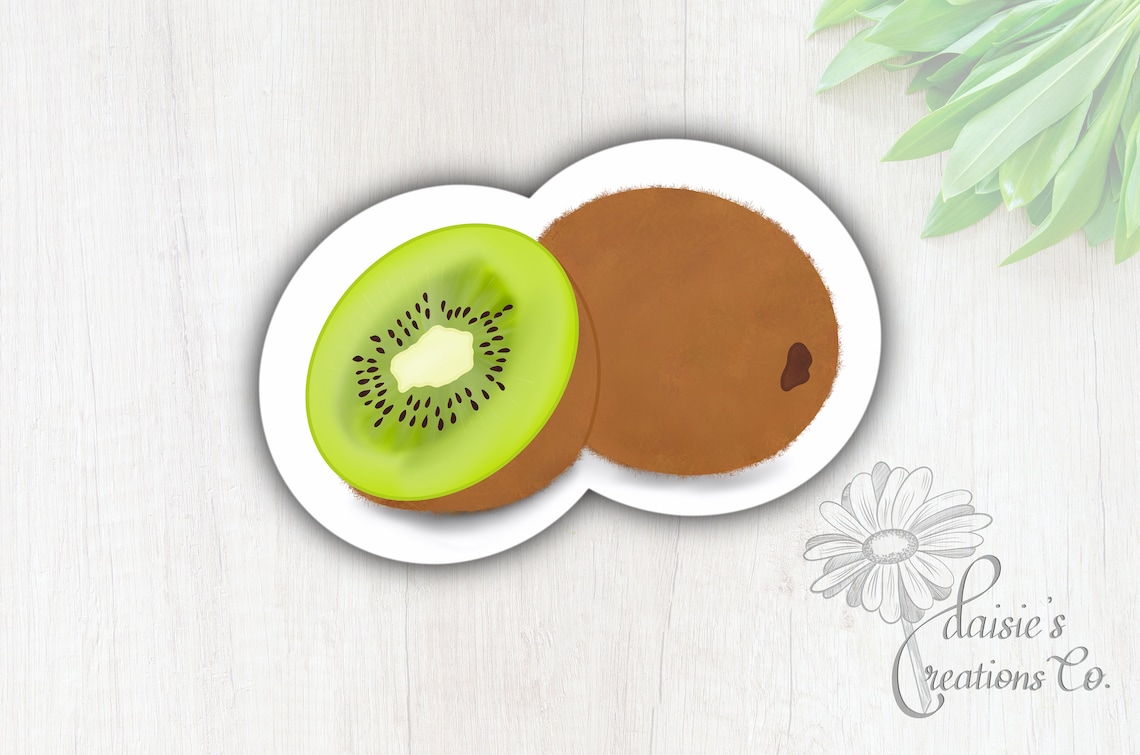 Kiwi Sticker Vinyl Sticker Decal Laptop Decal Gift - Etsy